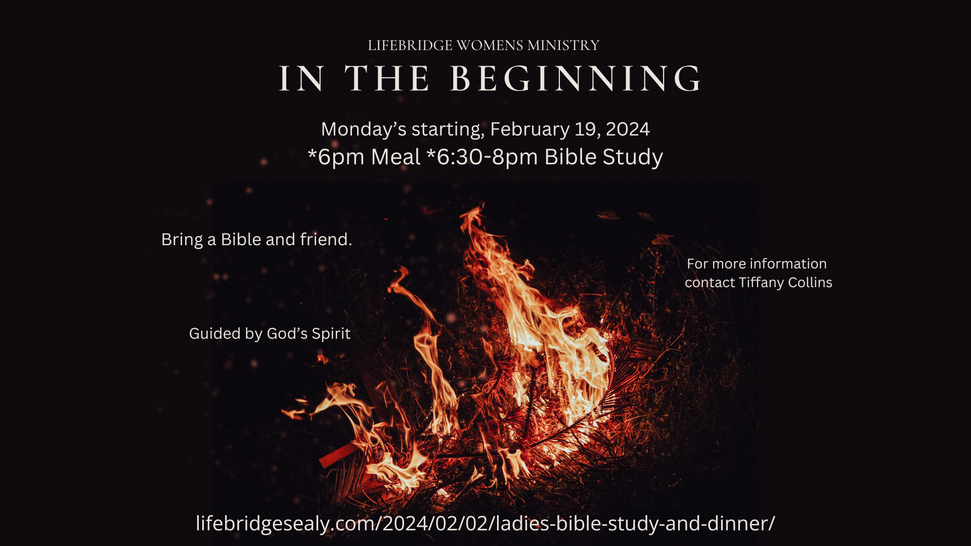 Ladies’ Dinner and Bible Study Starting! – LifeBridge Community Church